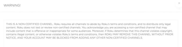 25 Best Hidden Roku Channels (Private Channels 2023)